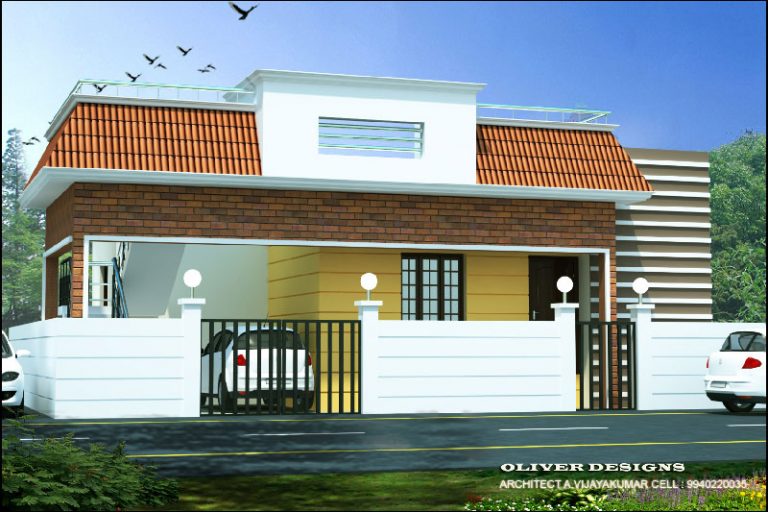 Malar Daisy – Malar Constructions